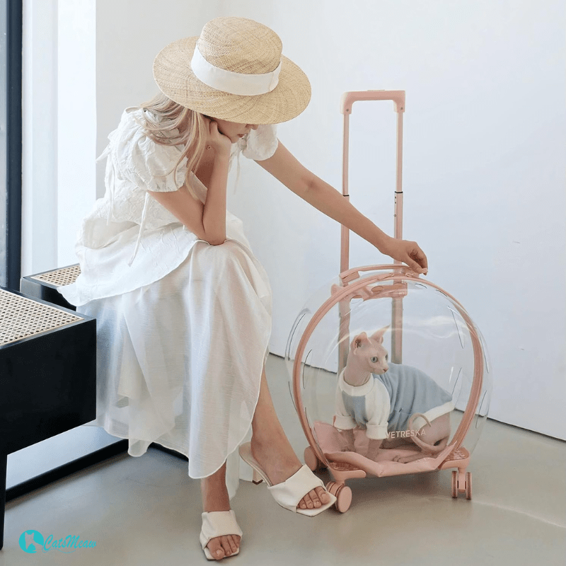 Cat Carrier Suitcase With Wheels And Telescopic Handle